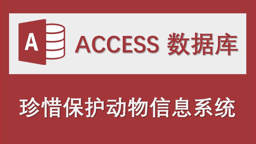 【珍惜保护动物信息系统】03-生成报表 access数据库系统设计制作