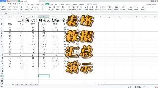 表格数据汇总演示
