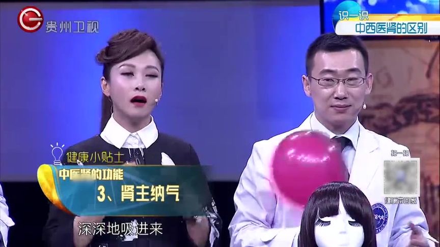 最强大夫:中西医肾的区别