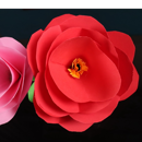 芝姐讲故事 