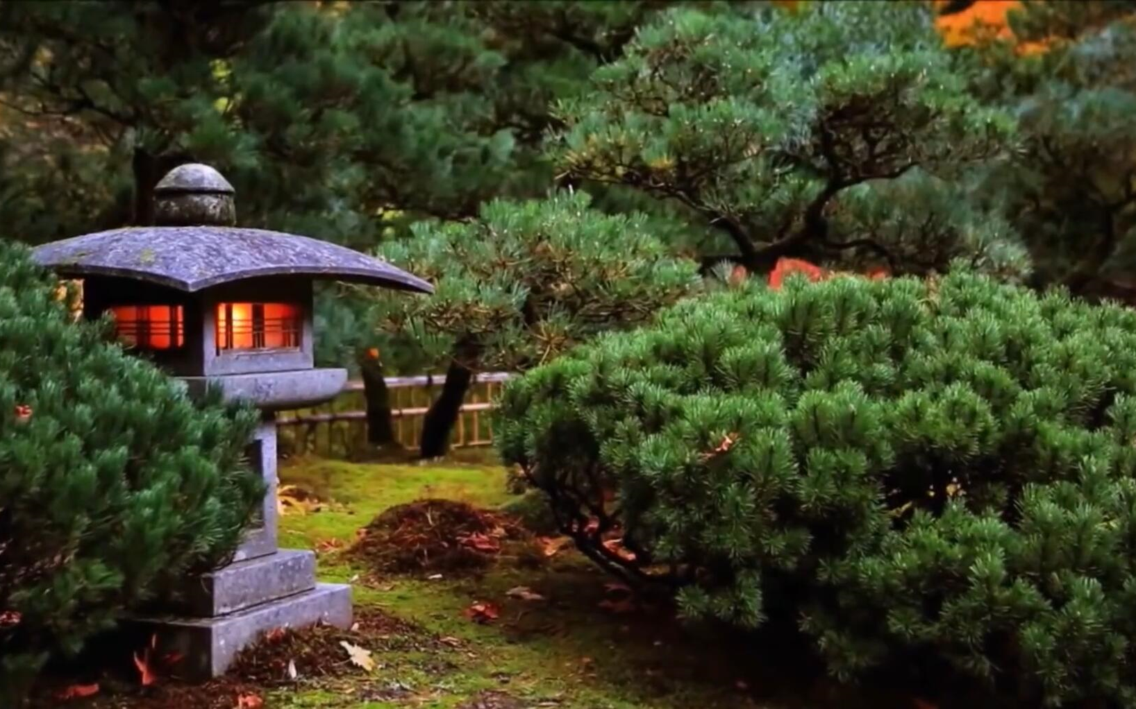 日本最美庭院景观设计 设计师访谈