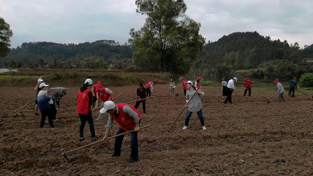 一分钟带你了解农村土地的三大分类