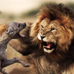 古今中外大排行 