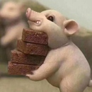 喜欢拉小提琴的轩辕家美 