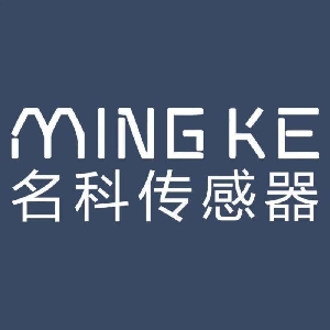 名科扭矩传感器 