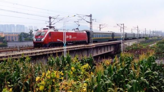 全程2200公里成都开往北京西 Z50次直特列车高速通过长寿站