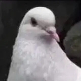 南华盆地 