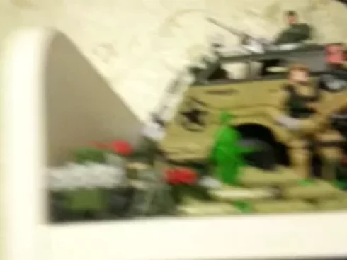 军事模型展柜八一建军节特别篇(mty上传 )