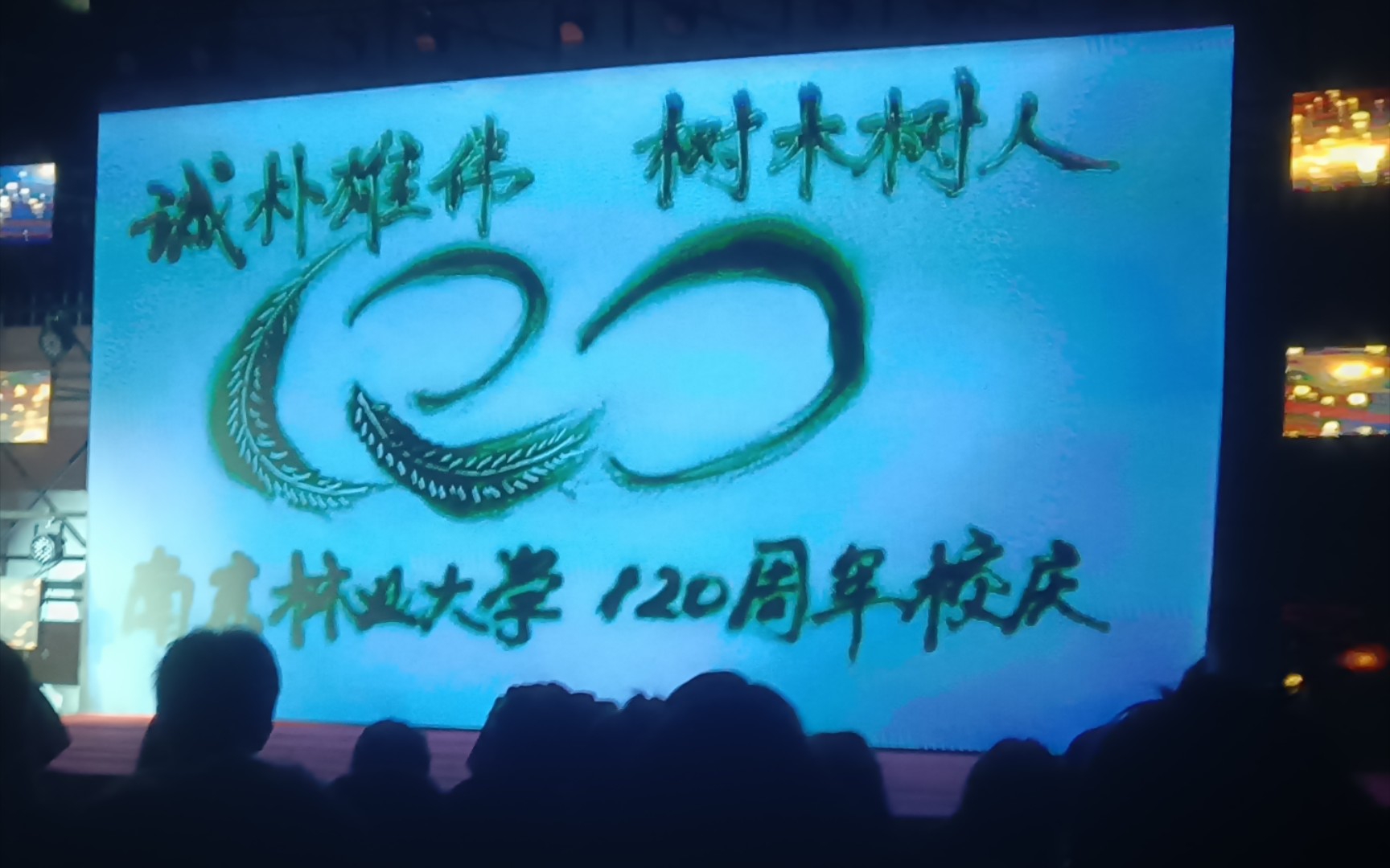 南京林业大学淮安校区校庆迎新晚会沙画