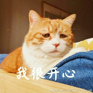SHUAYA图灵 
