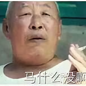 沈阳小霸王 