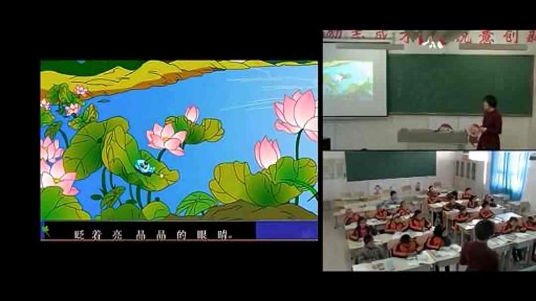 小学公开课视频《荷叶圆圆》