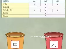 仿真实验—高中生物实验15性状分离比的模拟_标清