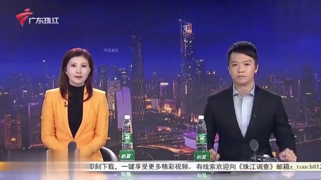 网络主播雪梨因逃税被罚6555万元