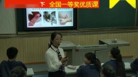 人教版生物七下《血流的管道——血管》马老师全国一等奖优质课.mp4