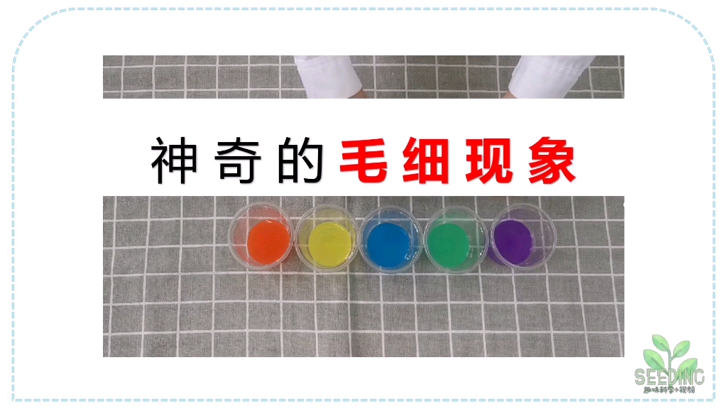 神奇的毛细现象