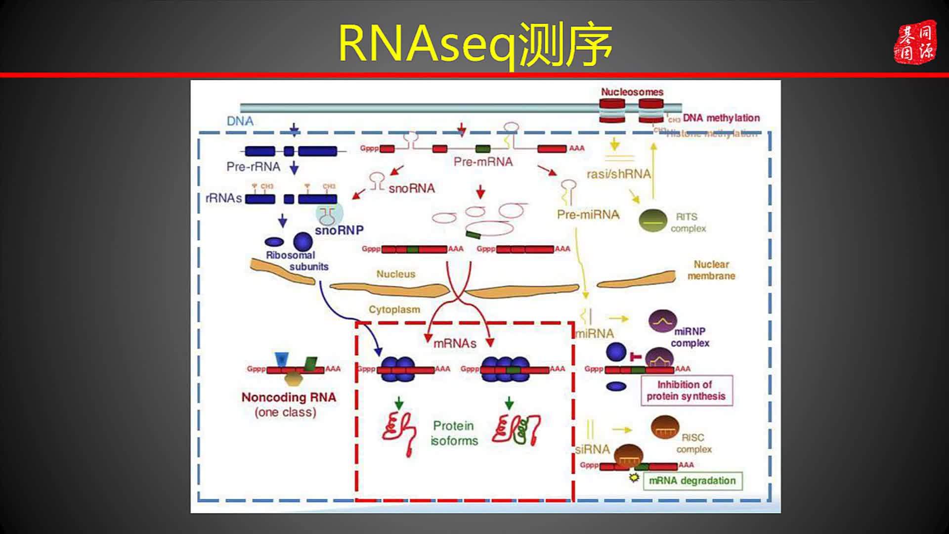 17-基因差异表达计算