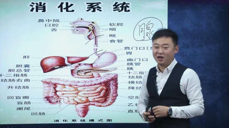 2019临床医师-图说消化系统02-天之诚医考