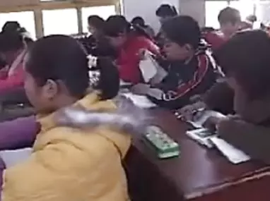 小学四年级语文 〖鸟的天堂〗 课堂实录 教学视频