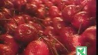 营养素影片维生素C1分钟8秒