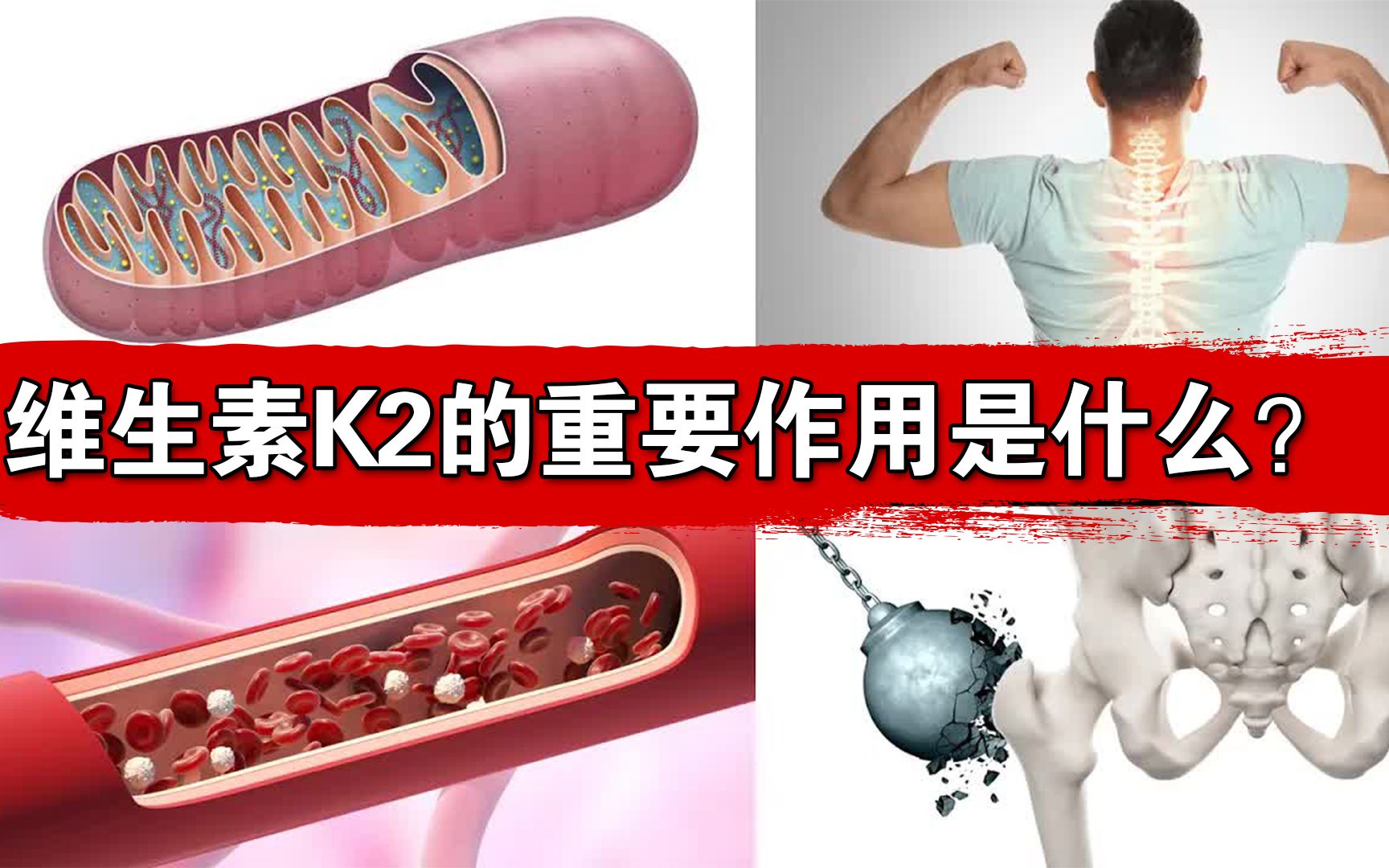 维生素K2对健康的重要作用是什么?