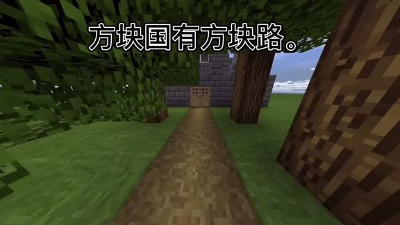 #我的世界 #游戏梦想家计划 #我要上热门 此生无悔入M C