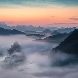 半夏推书 