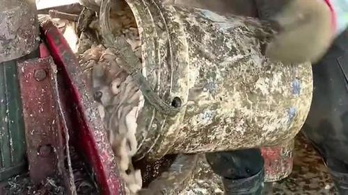 ...戴的珍珠都是这么来的,从珍珠蚌里面取出来,经过清洗打磨种种程序!