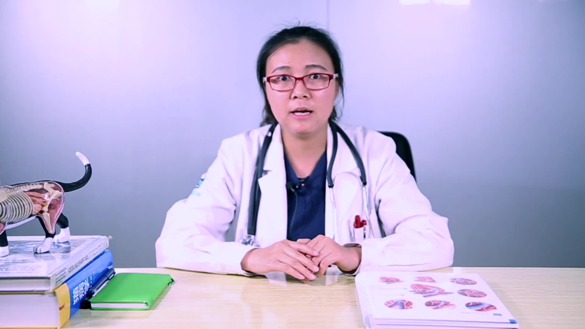 幼犬也会得心脏病,狗爸狗妈们快看看
