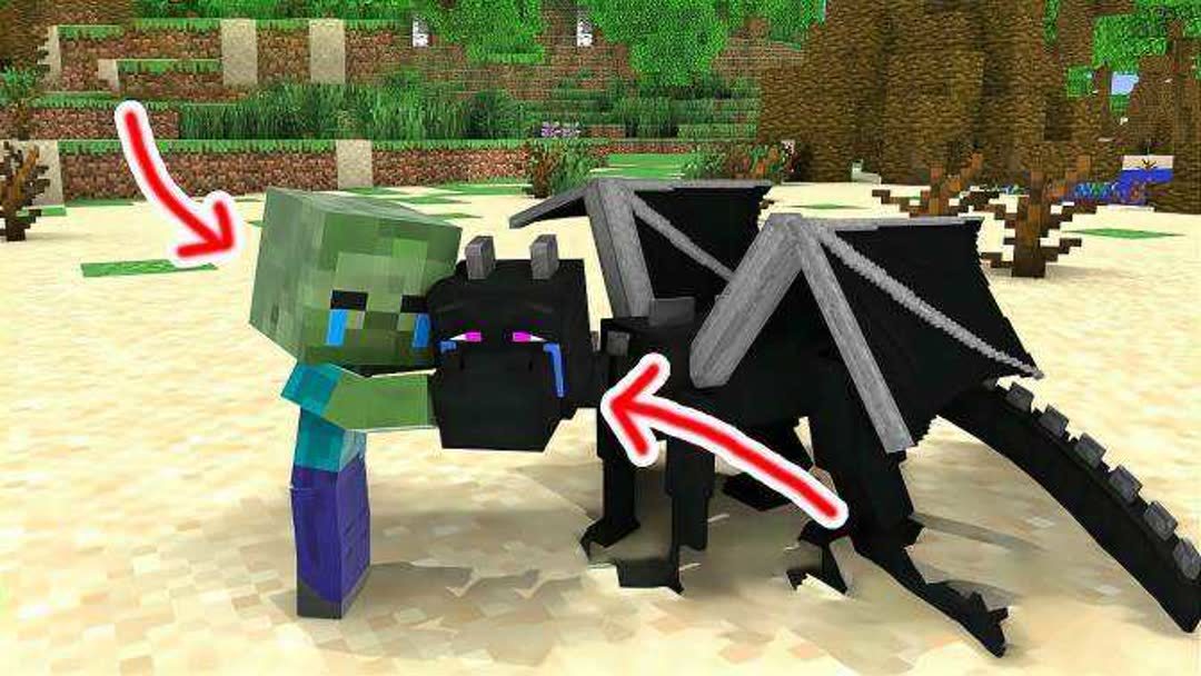 《我的世界怪物学院》动画:小绿拯救小末影龙,成为最好的朋友