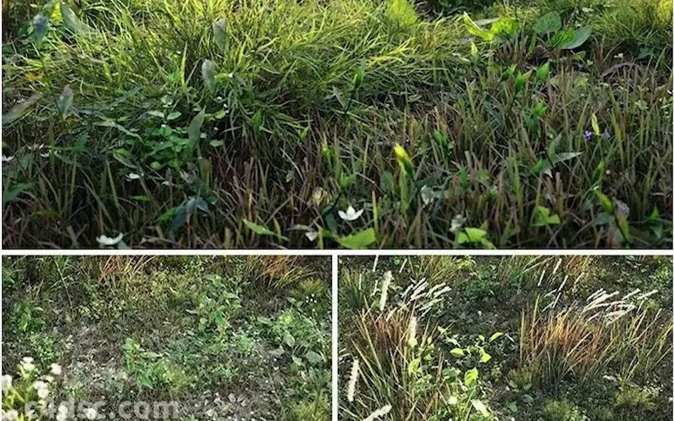 【131个草丛植物杂草MAX、FBX格式】3D模创意场景3D模型素材,...
