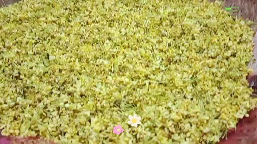 桂花功效 桂花有浓郁的香气,用桂花制作美食可以促进食欲