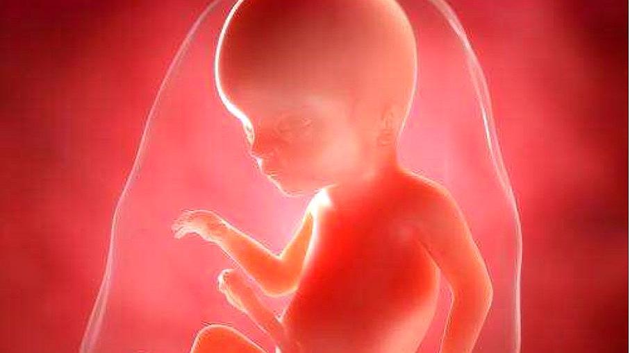 孕期胎儿的形成过程,原来胎儿刚开始是这个样子的,太顽强了
