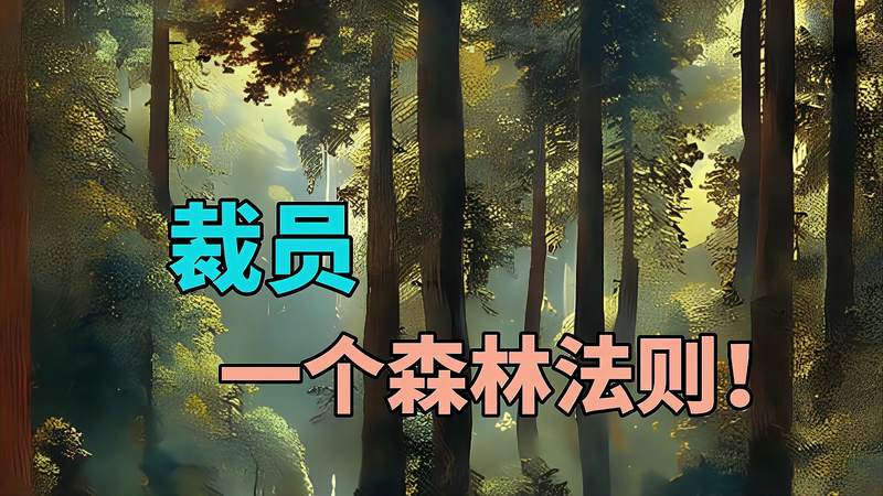 58同城被曝大批量裁员,不能养活自己就会被淘汰,残酷的森林法则