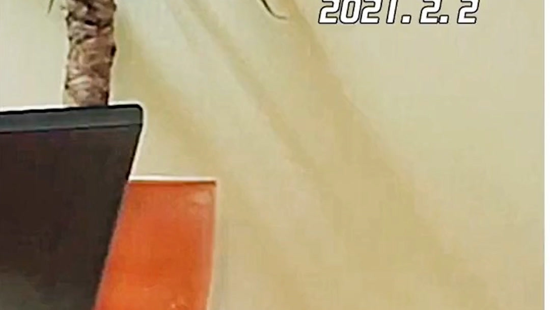 这么神奇的鼠标你想做什么