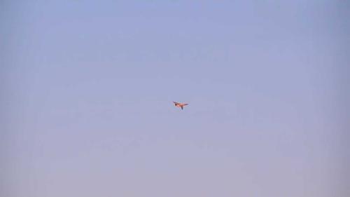 见过玩客机航模的吗?飞在空中跟真的一样~1