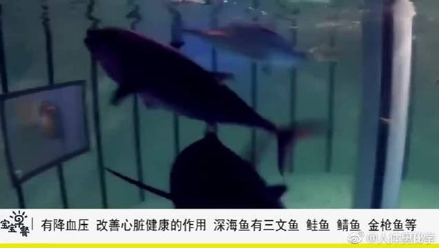 保护心脏又清理血管垃圾