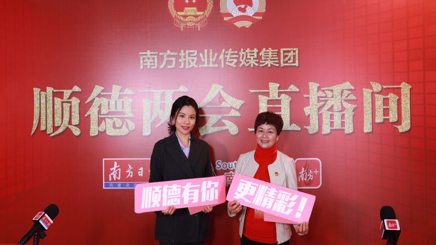 孙映华:鼓励普惠性幼儿园发展,建议推学前教育券|顺德两会