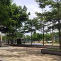 郭老师高中数学 