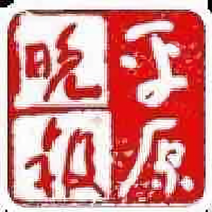 平原晚报 