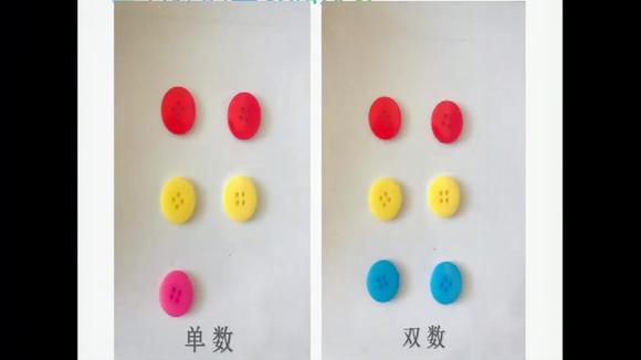 微课堂 大班科学《有趣的单数和双数》