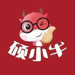 硕小牛考研专业课 