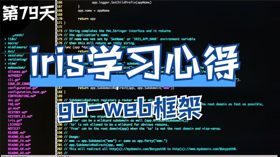 大龄产品经理学golang第79天:快速学习go-web框架iris的一点心得