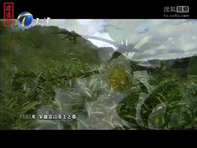 建盏的使用方法