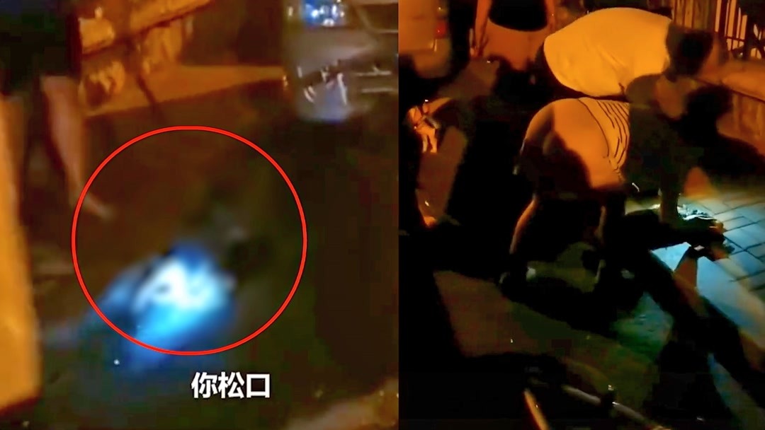 山东小狗出门遛弯遭遇烈性犬,活活被咬死现场惨烈,主人崩溃大哭