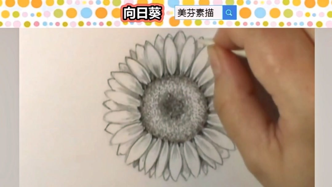 植物花草素描画法教程,教你画简单又好看的向日葵!