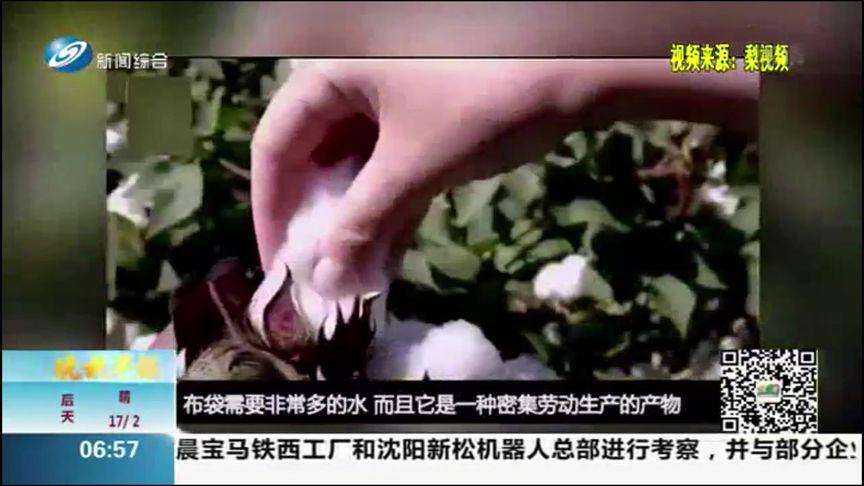 塑料袋为拯救地球而设计?应该被反复使用,减少树木砍伐