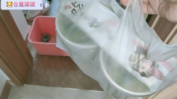 小仓鼠趁着女主人拿外卖,生了4只小宝宝 这速度赶上火箭了!