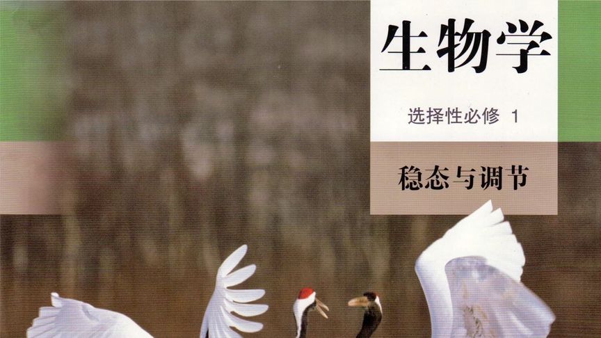 高中生物新版教材|选择性必修一|2.3神经冲动产生传导|干货分享