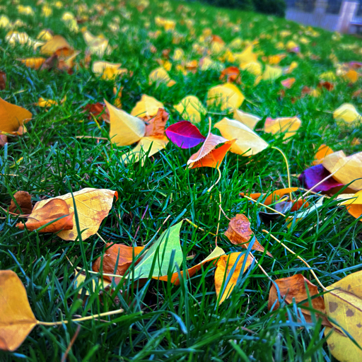 天天老师数学课堂 